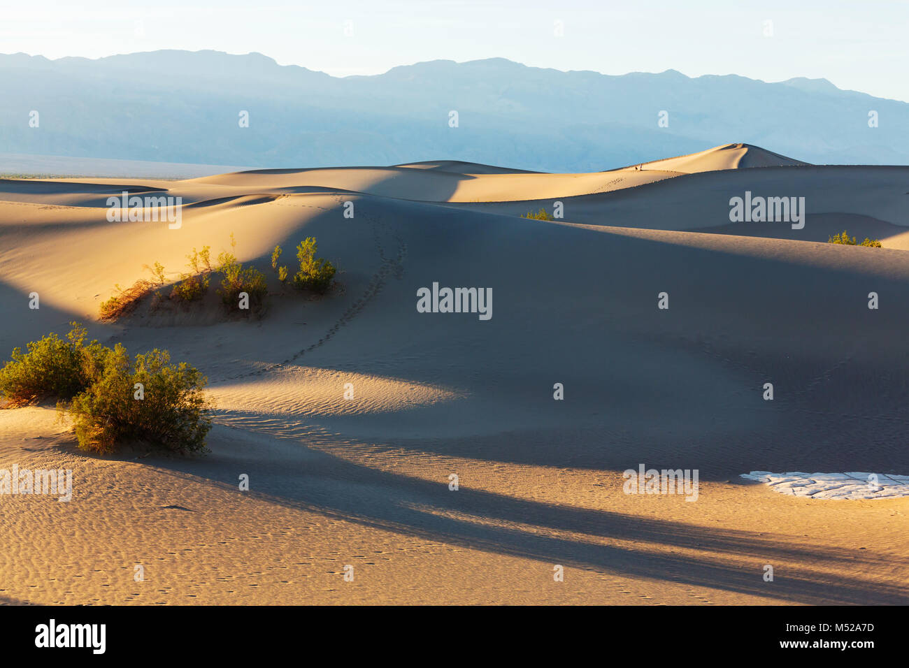 Sand dunes in California Stock Photo - Alamy