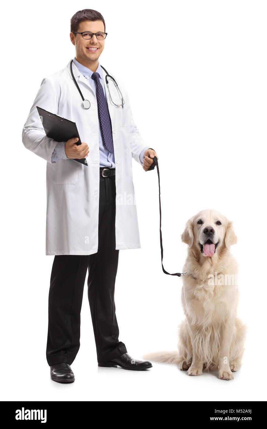 Full length portrait of a veterinarian with a labrador retriever dog ...