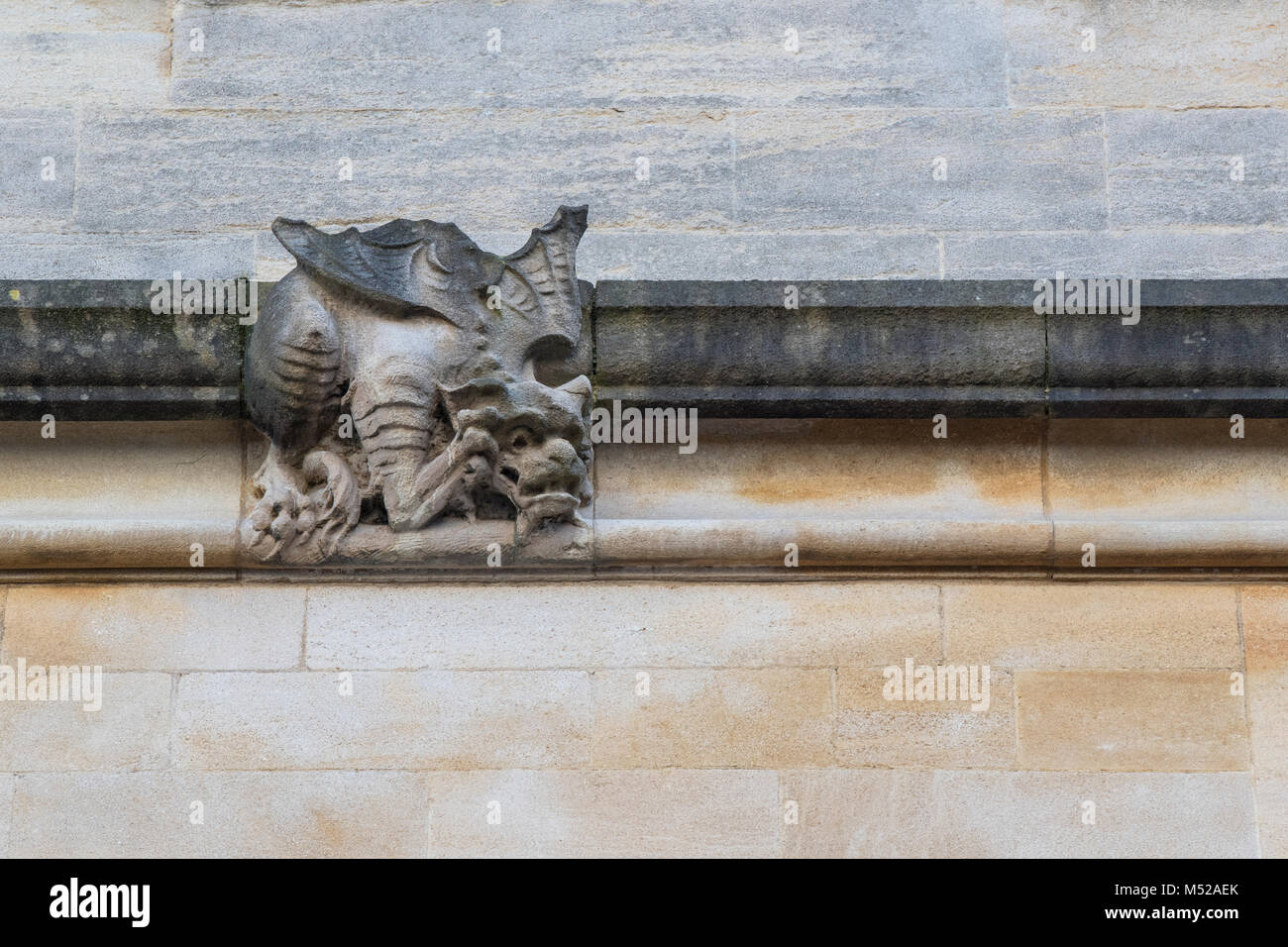 Carved stone dragon gargoyle / grotesques on an oxford college. Oxford ...