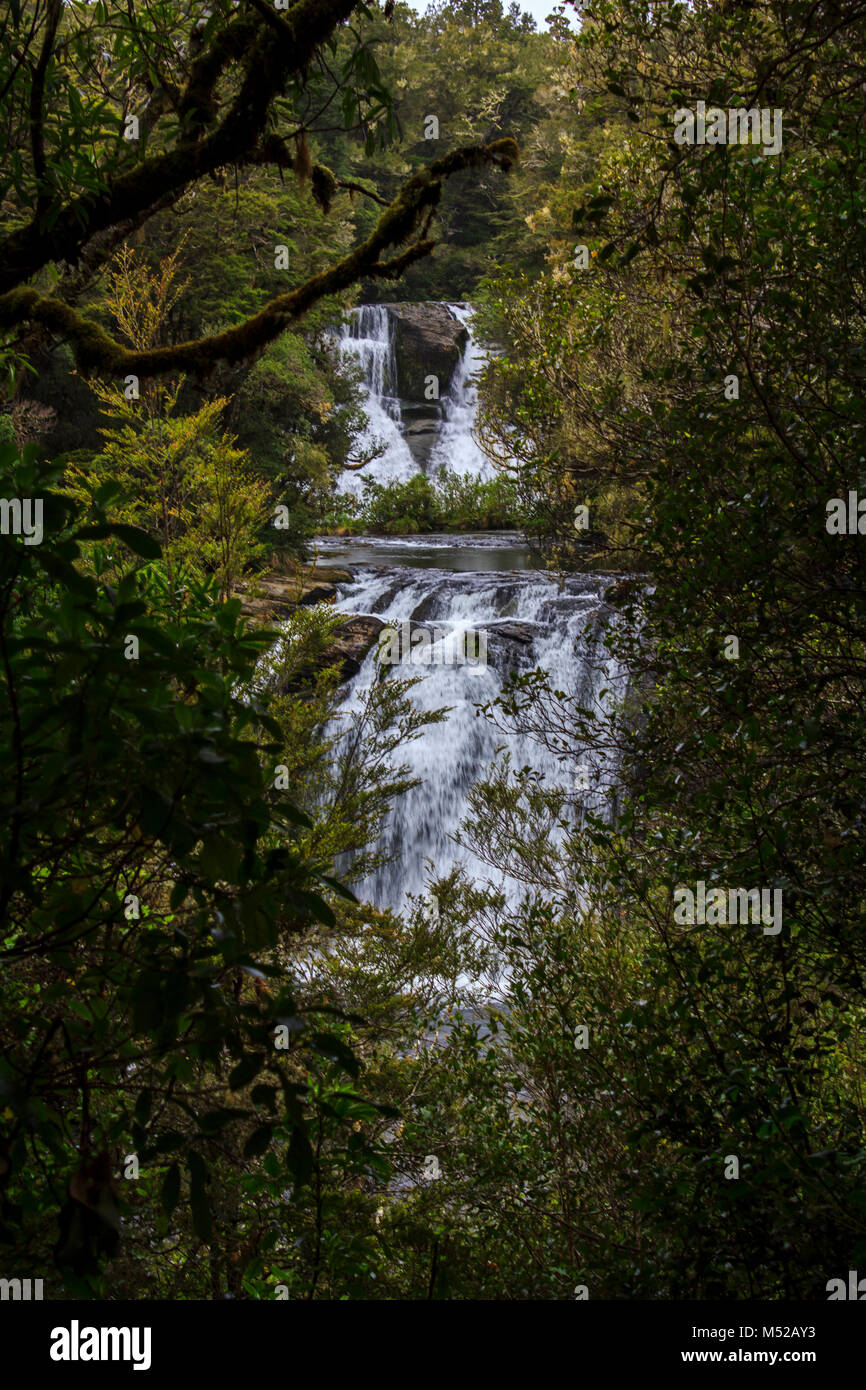 Aniwaniwa Falls hidden in forest Stock Photo - Alamy