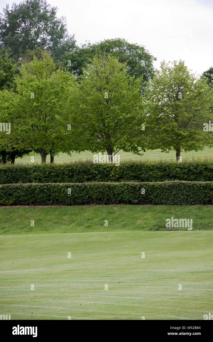 Trimmed neat tidy hedges hi-res stock photography and images - Alamy