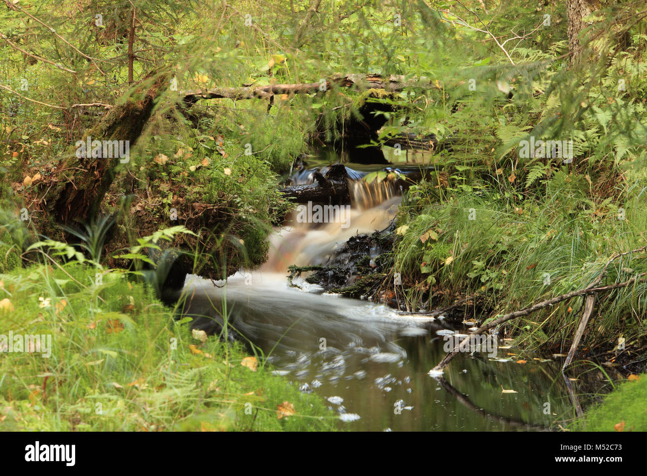 Rapid exposure hi-res stock photography and images - Alamy