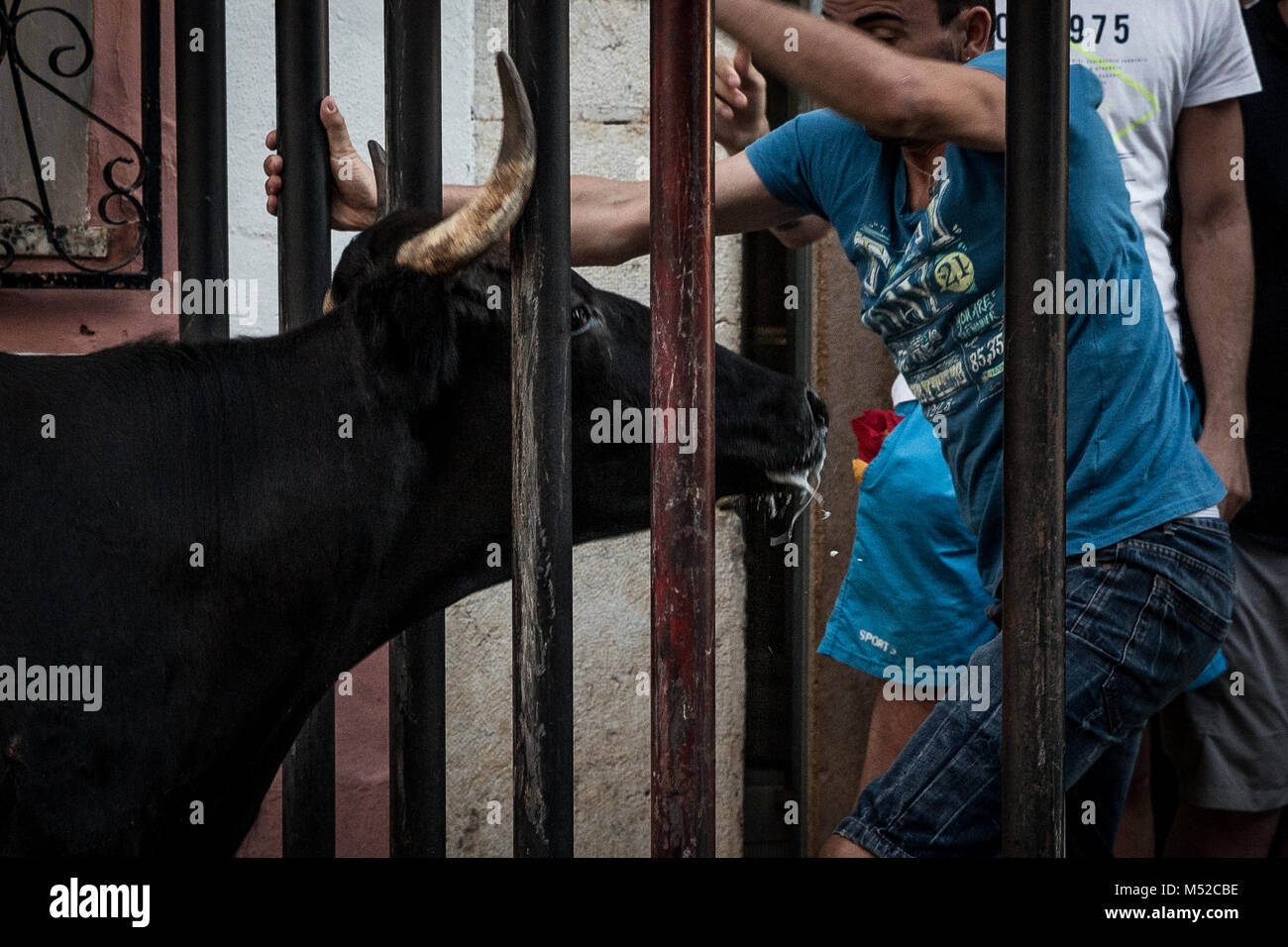 Traditional Bull Running in a small village just outside of Calpe ...