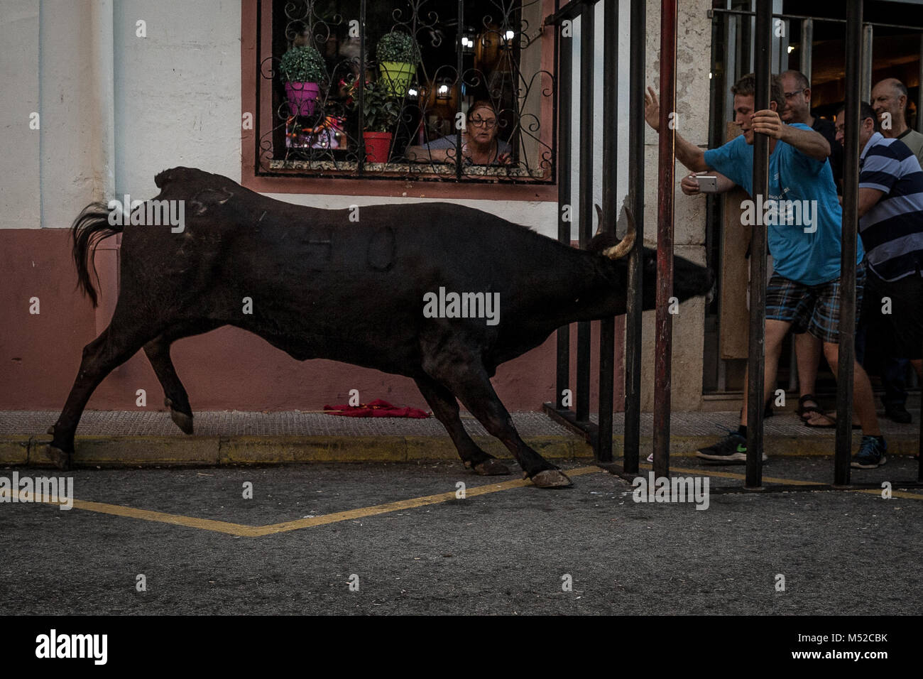 Traditional Bull Running in a small village just outside of Calpe ...