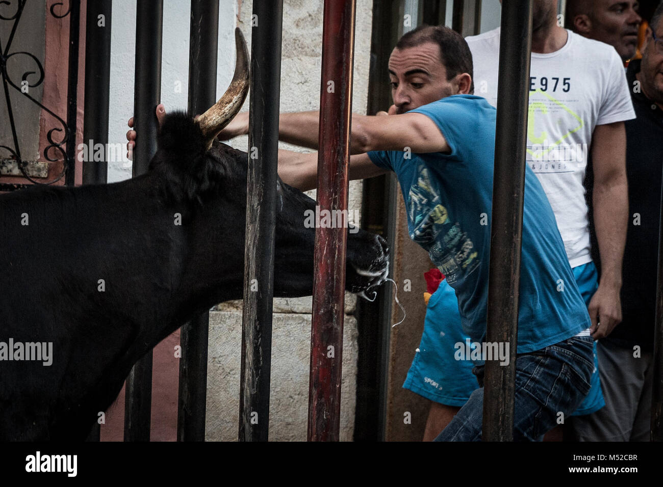 Traditional Bull Running in a small village just outside of Calpe ...