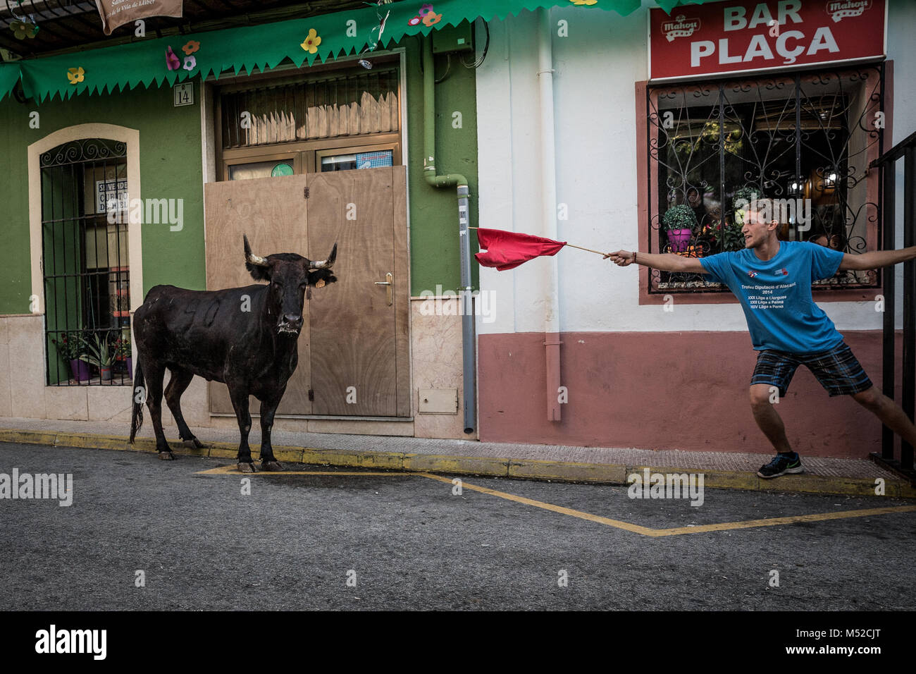 Traditional Bull Running in a small village just outside of Calpe ...