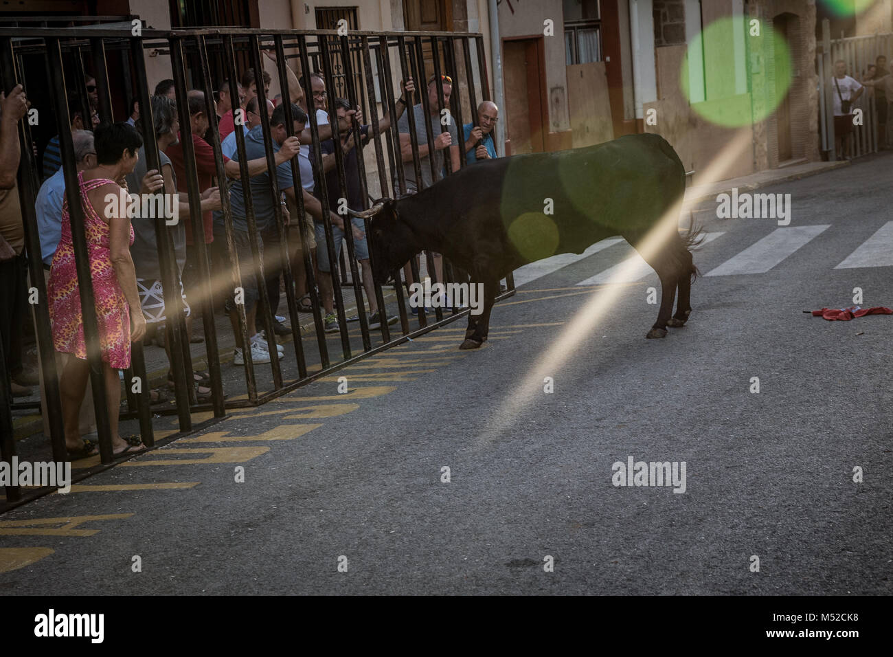Traditional Bull Running in a small village just outside of Calpe ...