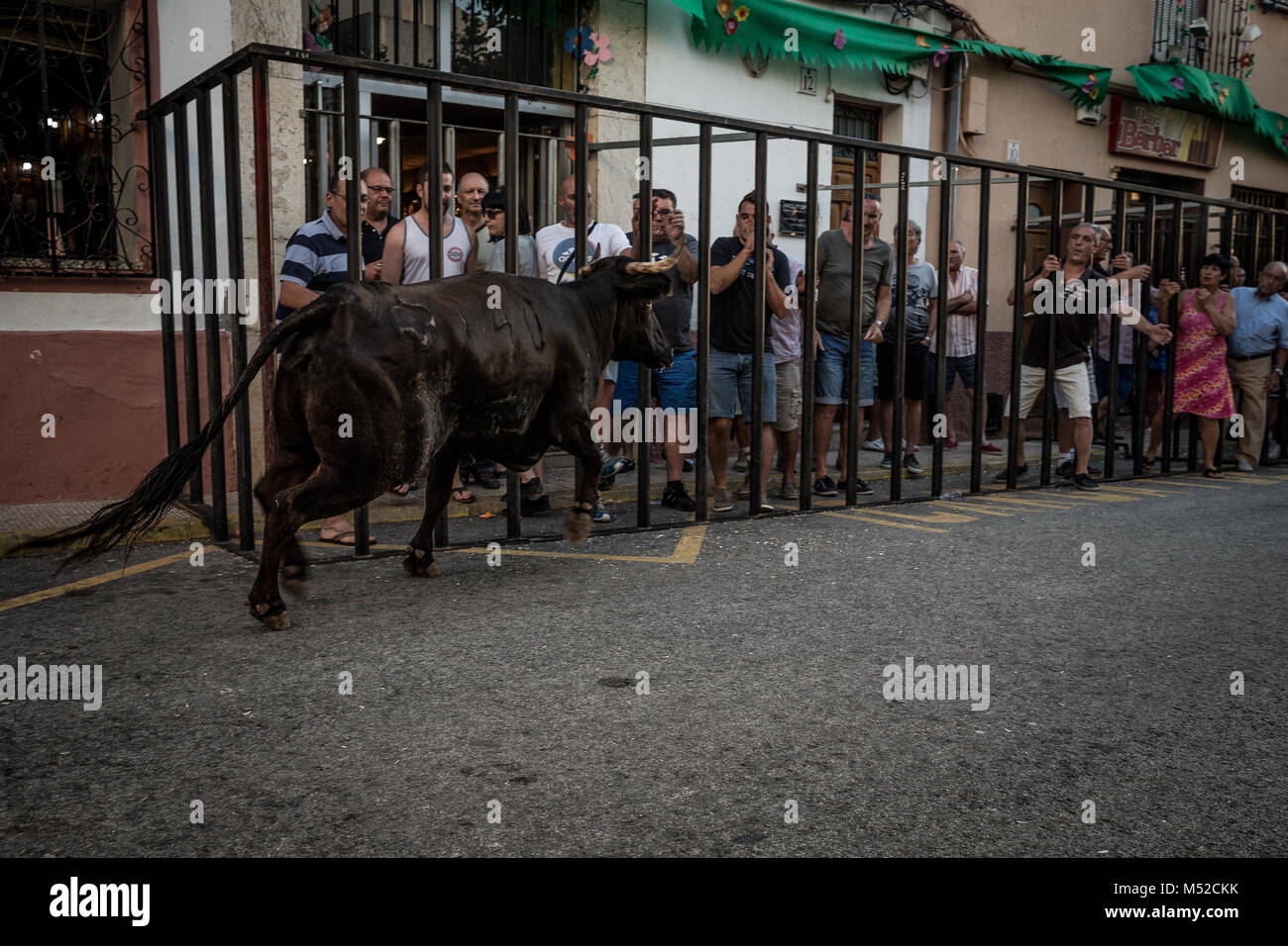 Traditional Bull Running in a small village just outside of Calpe ...