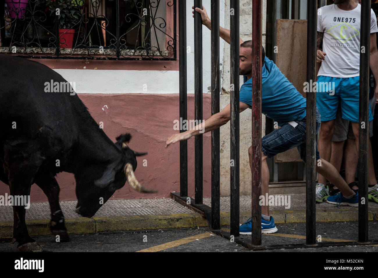 Traditional Bull Running in a small village just outside of Calpe ...