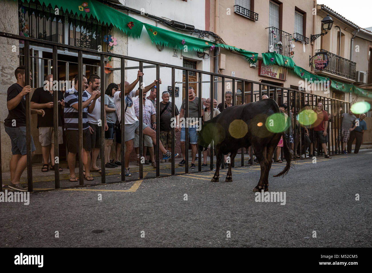 Traditional Bull Running in a small village just outside of Calpe ...