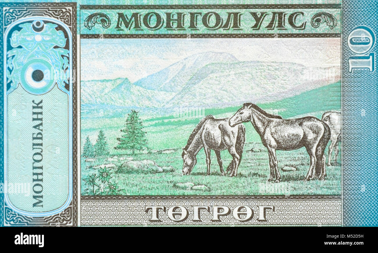 Mongolian tugrik banknotes hi-res stock photography and images - Alamy