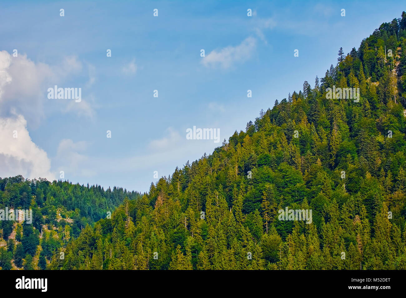 Flank of a hill hi-res stock photography and images - Alamy