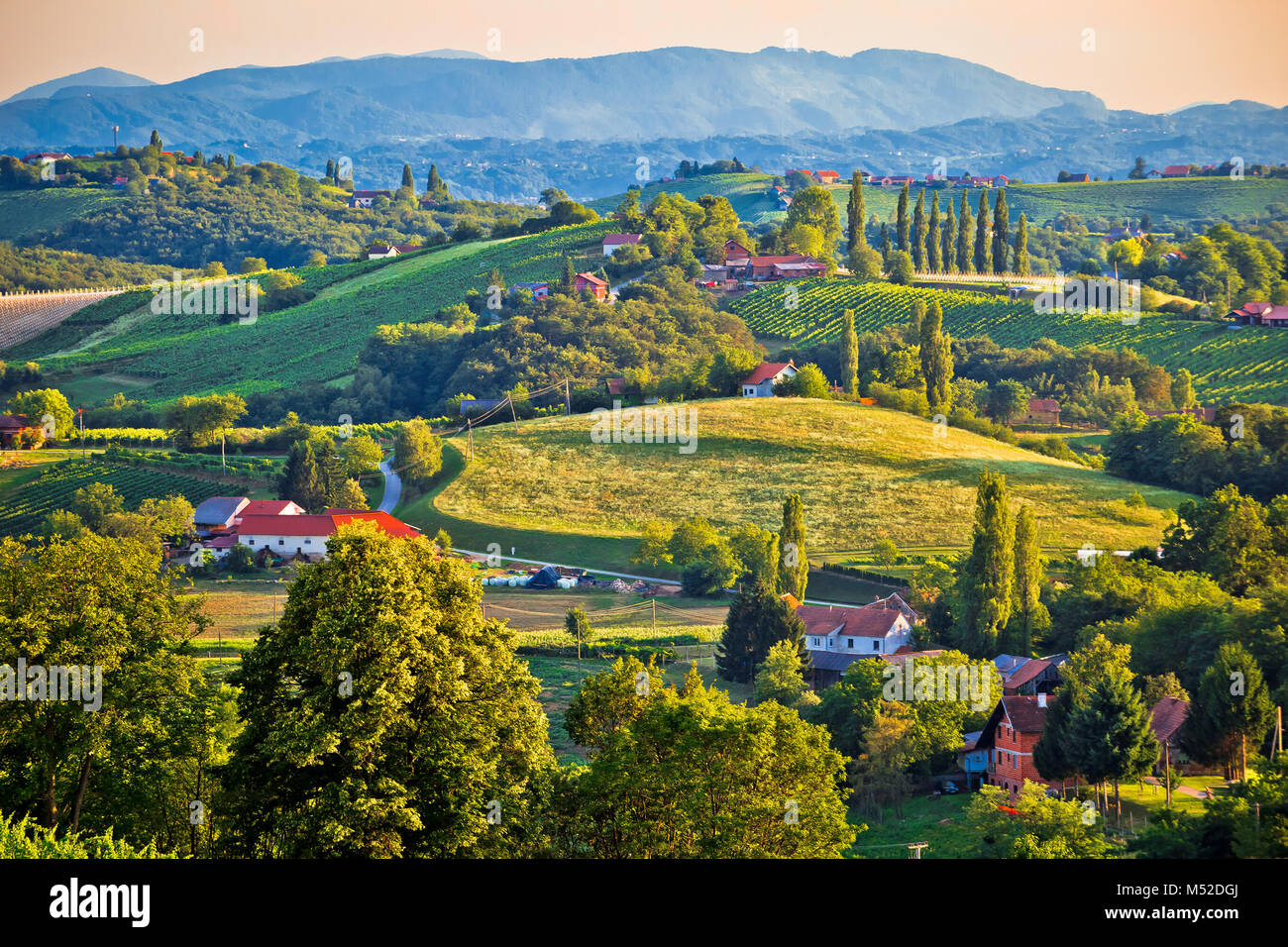 Green landscape of Medjimurje region view from hill, northern Croatia ...