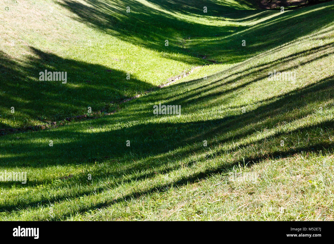 Green grass lawn with shadows Stock Photo - Alamy