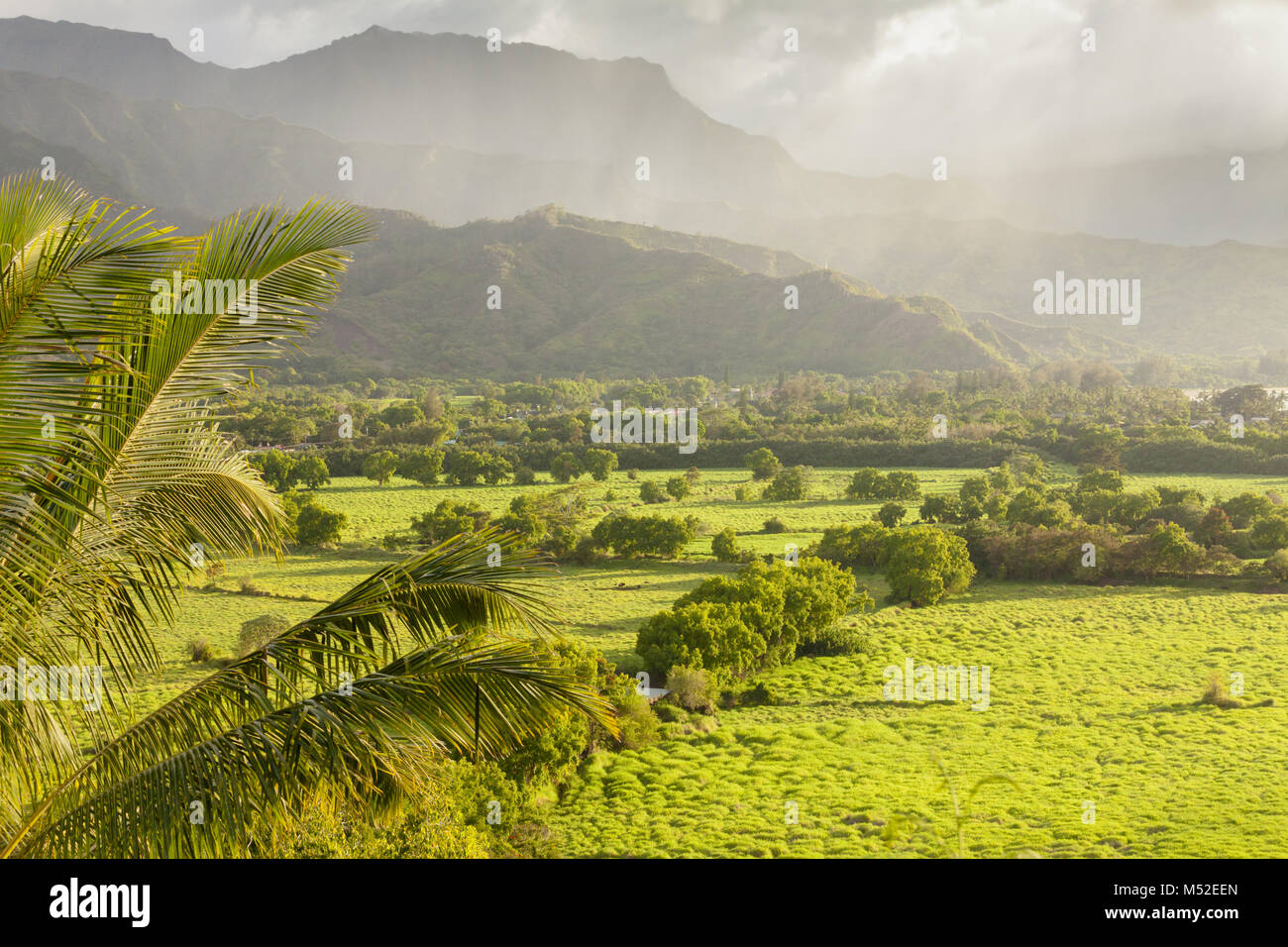 Kawaii hi-res stock photography and images - Alamy