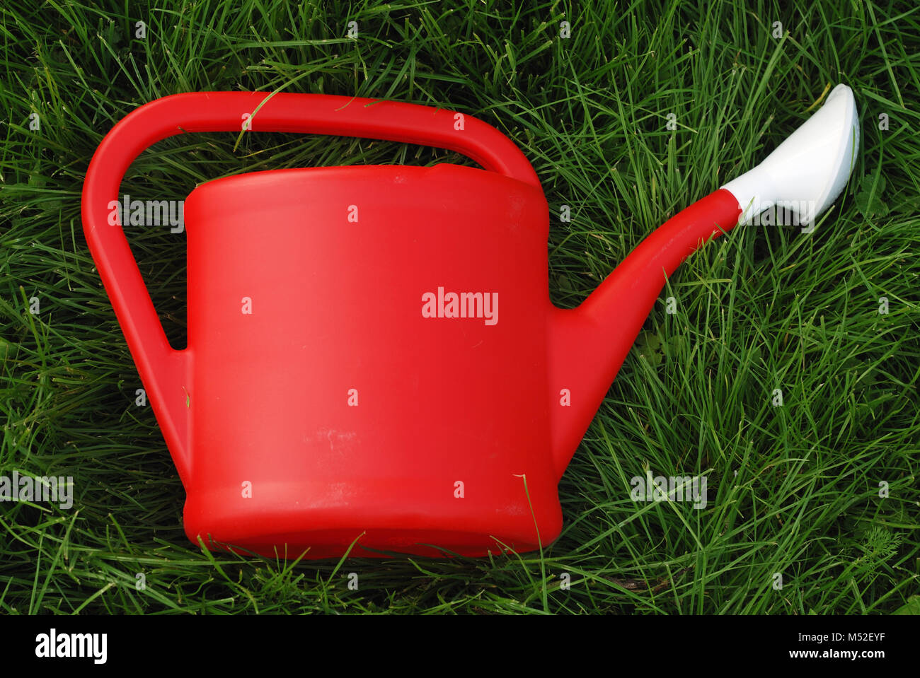 red wateringpot on the green grass in garden Stock Photo - Alamy