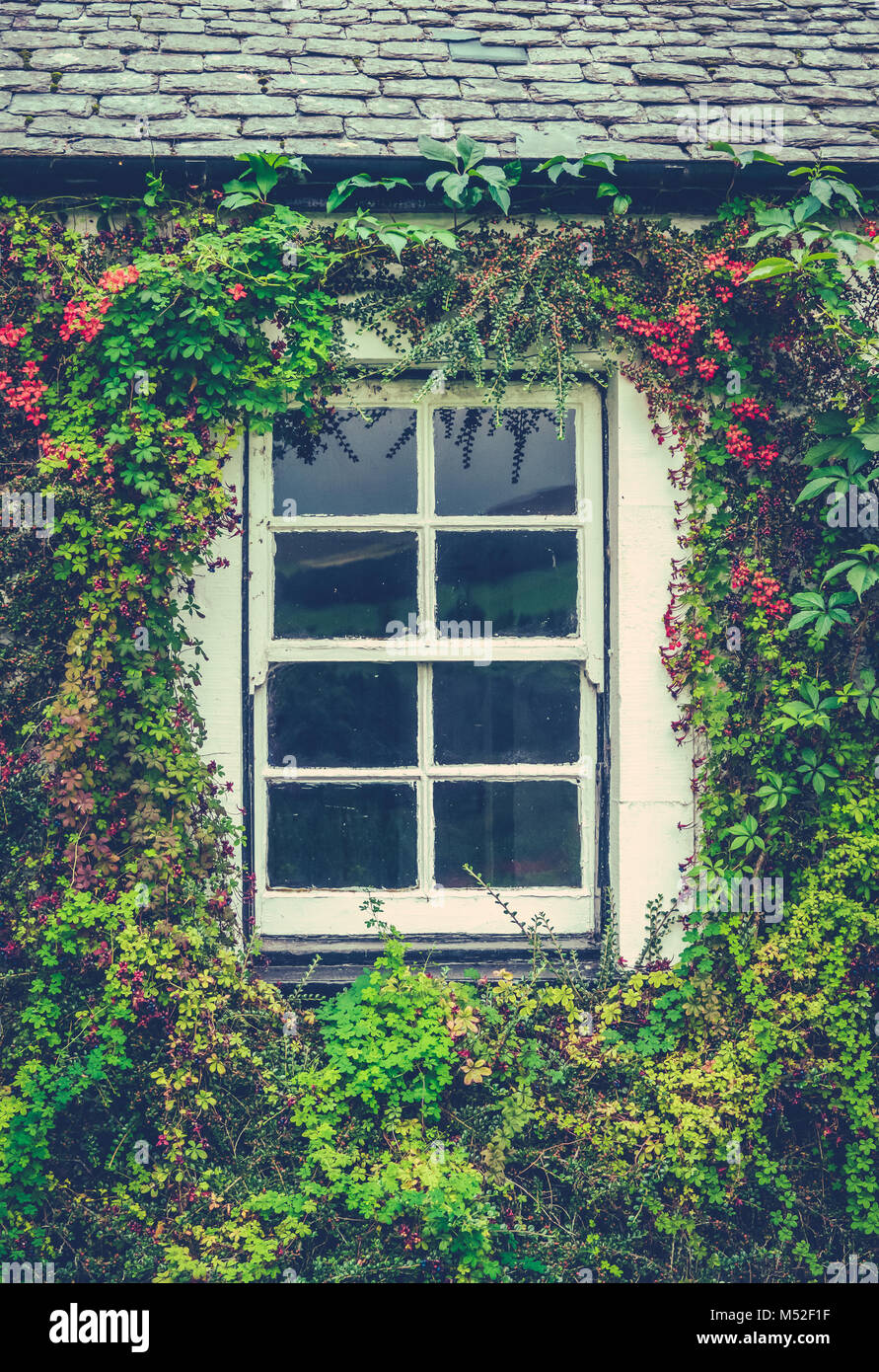 Rustic cottage window hi-res stock photography and images - Alamy