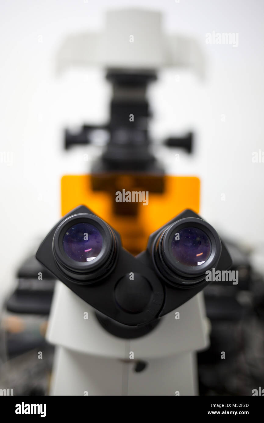 Industrial microbiology hi-res stock photography and images - Alamy