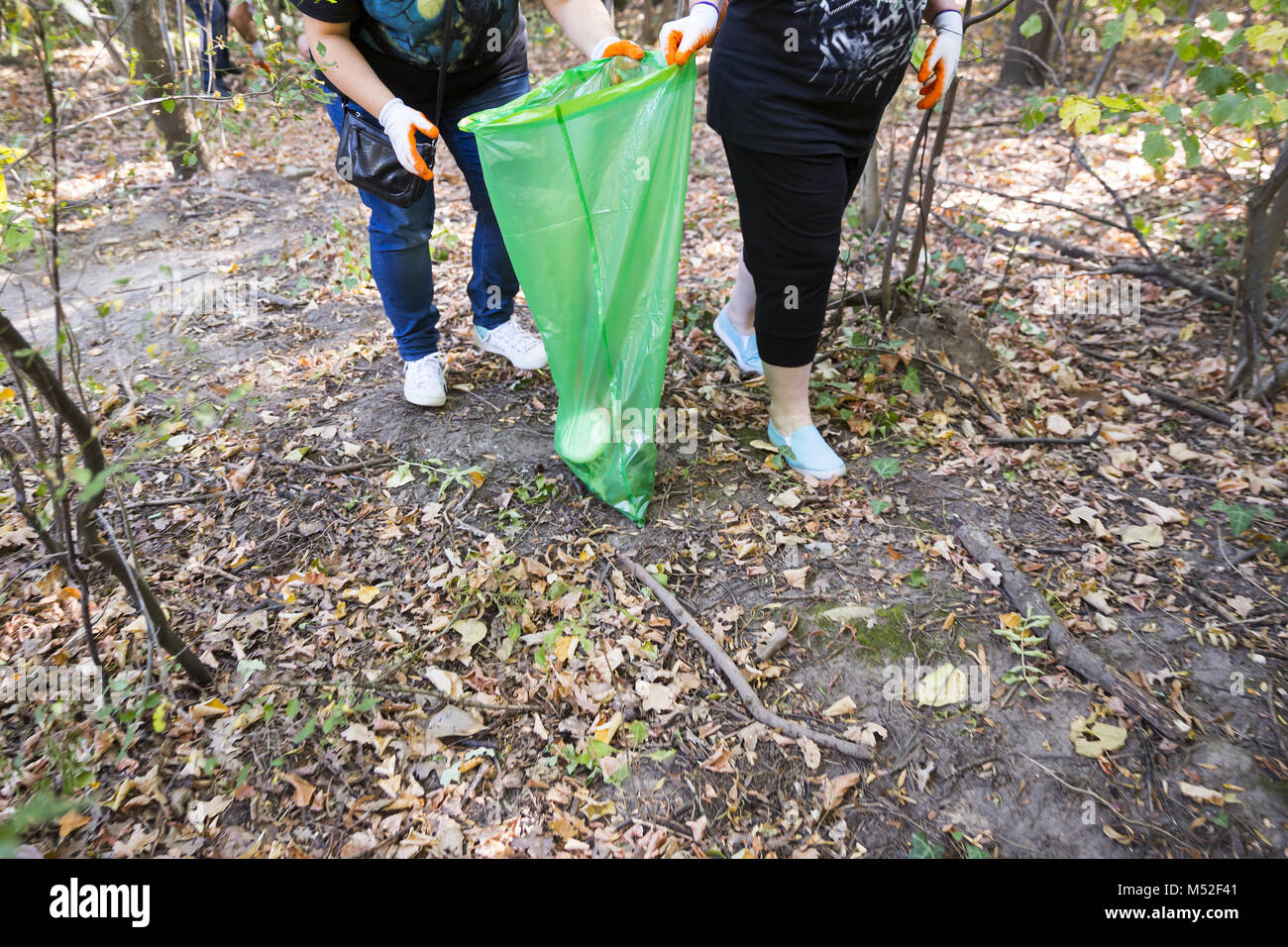 Picking up trash in the forest Stock Photo - Alamy