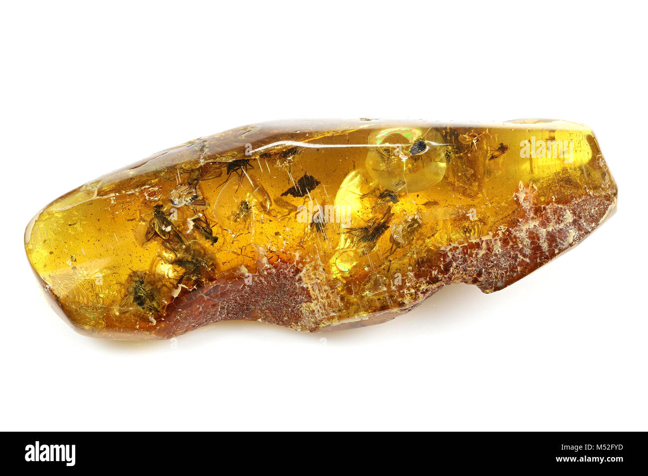 Baltic amber with swarm of flies isolated on white background Stock ...