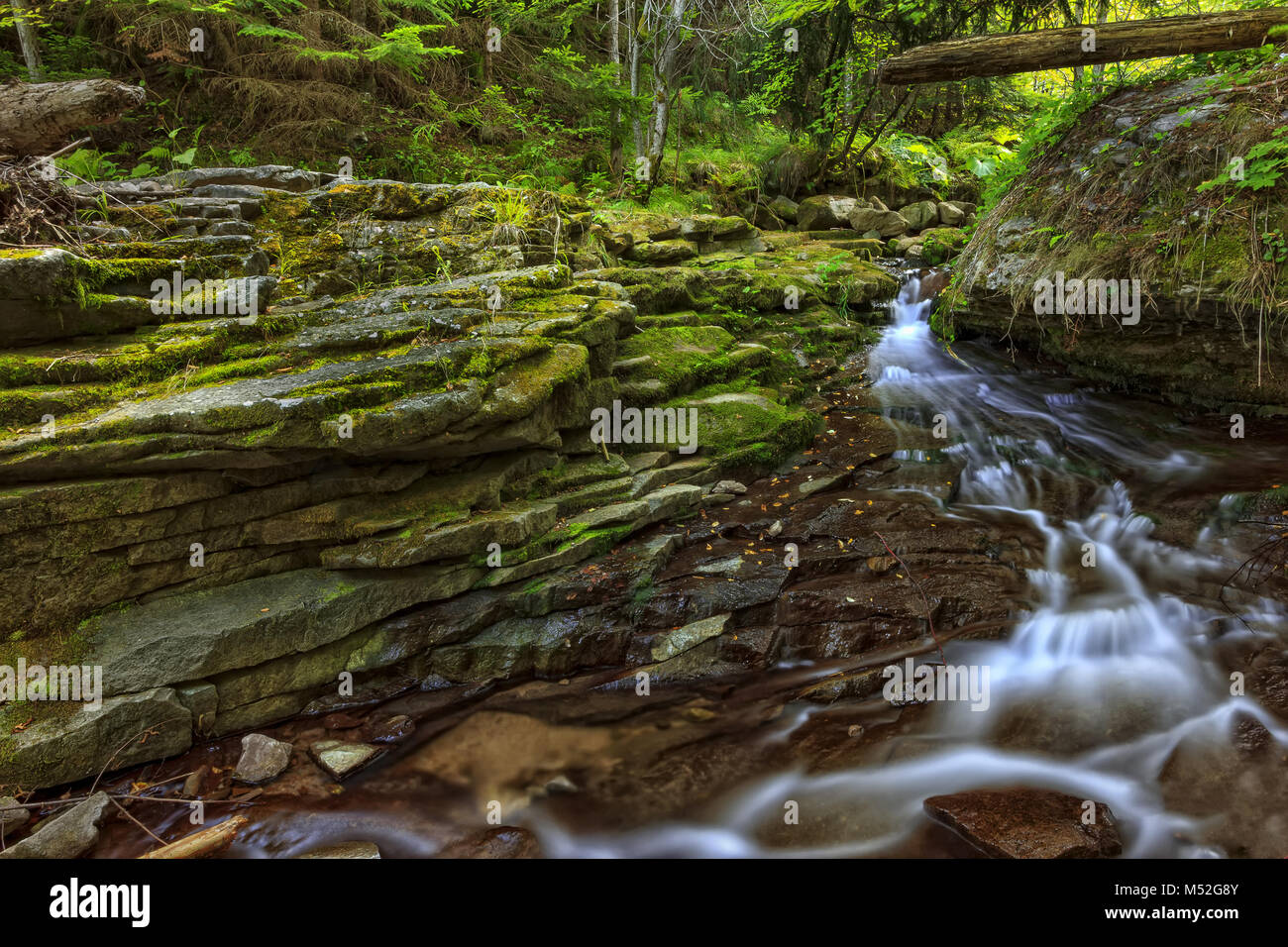 Beautiful view small stream hi-res stock photography and images - Alamy