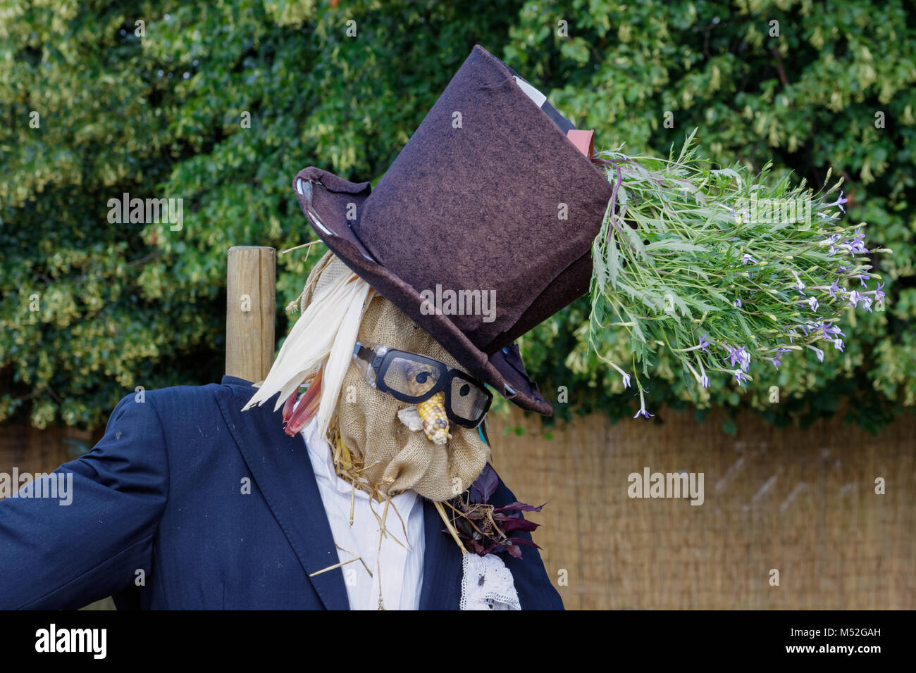 Scarecrow with Top Hat Suit and Glasses Stock Photo - Alamy