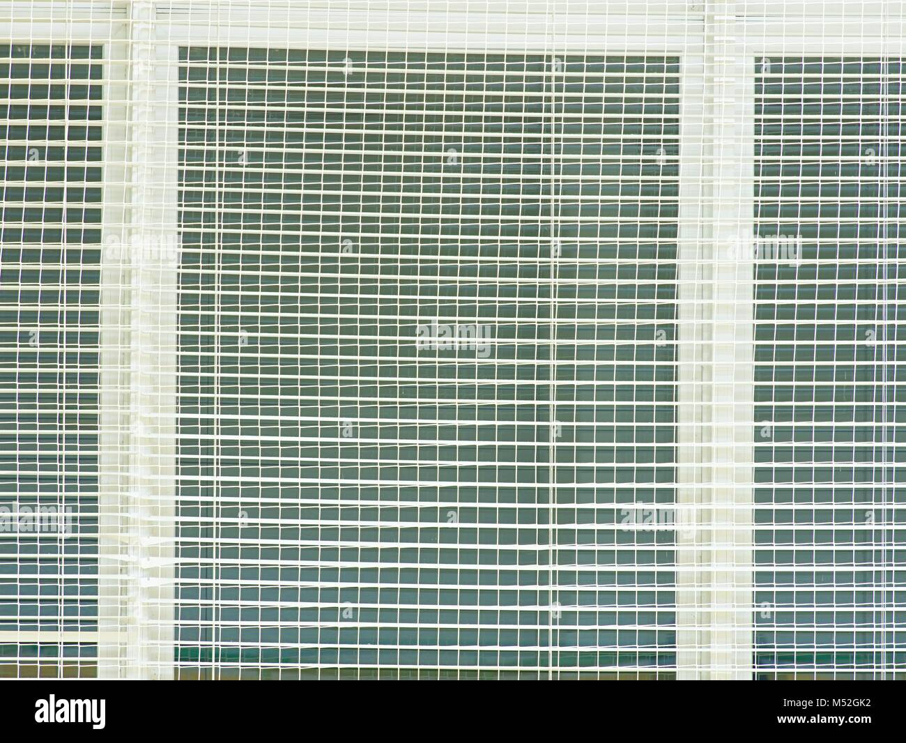 Safety protection of windows in sporting hall. Window covered with ...