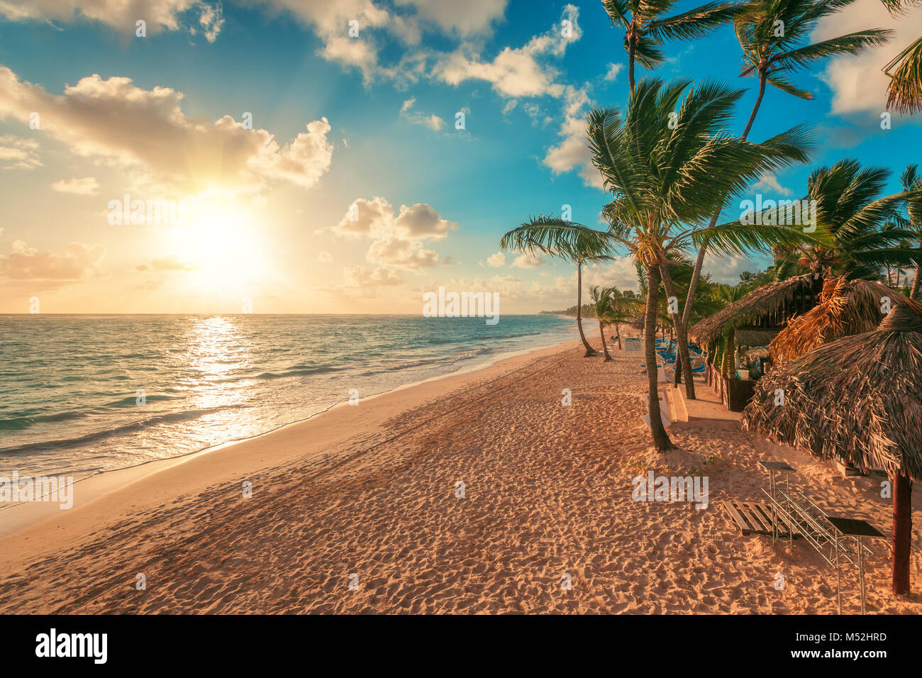 Tropical Beach Sunrise