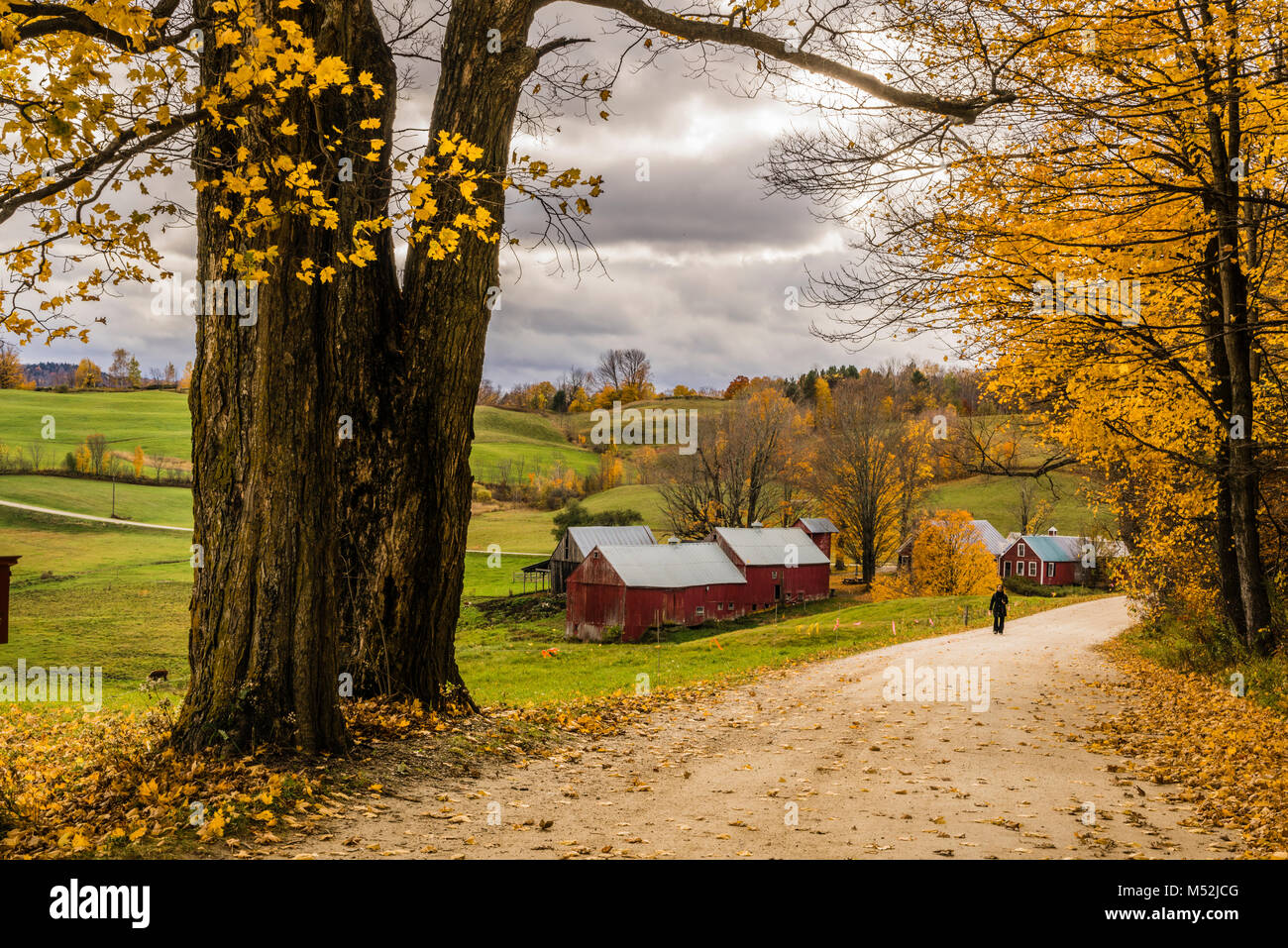 Jenne Farm Reading, Vermont, USA Stock Photo - Alamy