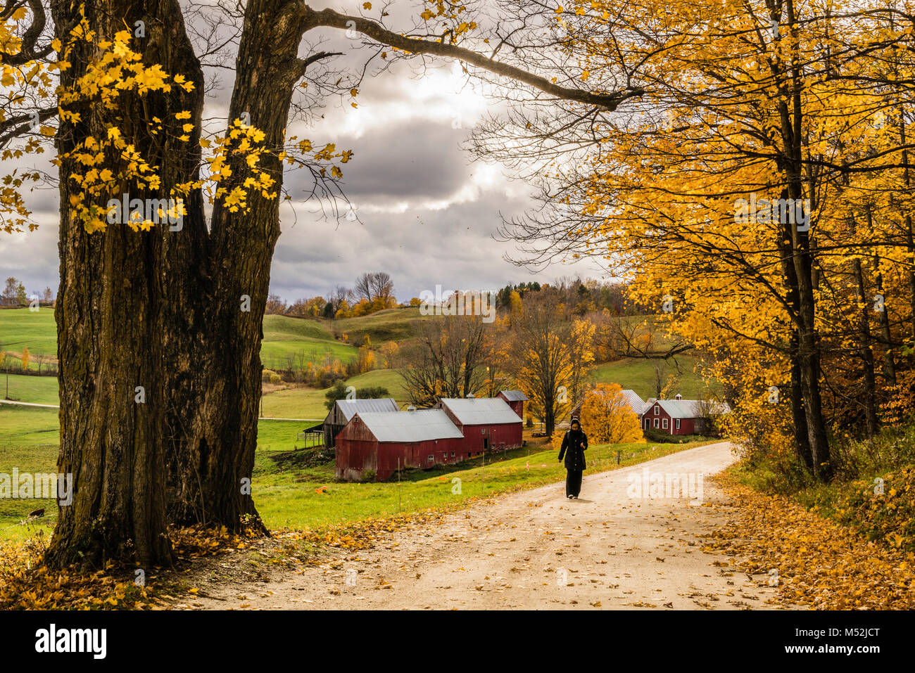 Jenne Farm Reading, Vermont, USA Stock Photo - Alamy