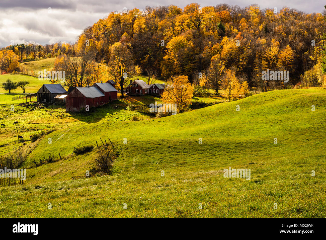 Jenne Farm Reading, Vermont, USA Stock Photo - Alamy