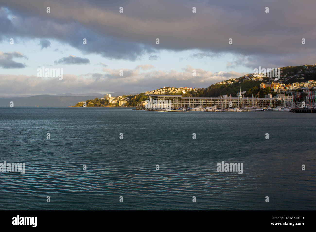 Commercial bay auckland hi-res stock photography and images - Alamy