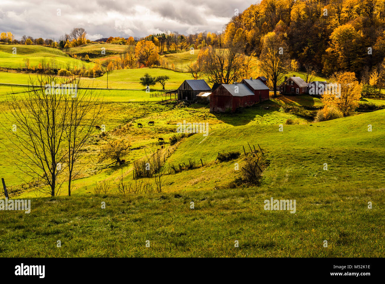 Reading vt vermont hi-res stock photography and images - Alamy