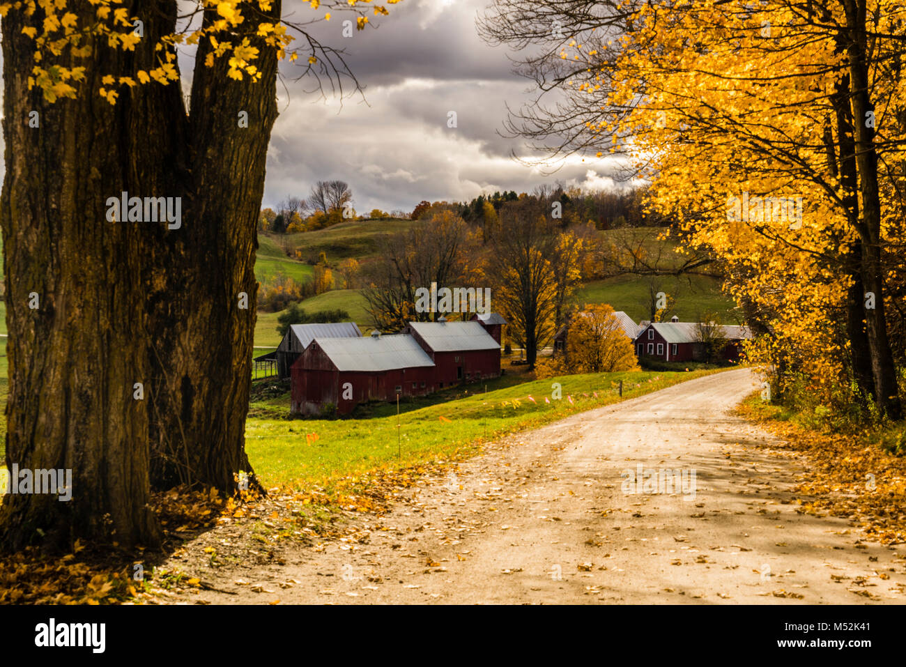 Jenne Farm Reading, Vermont, USA Stock Photo - Alamy