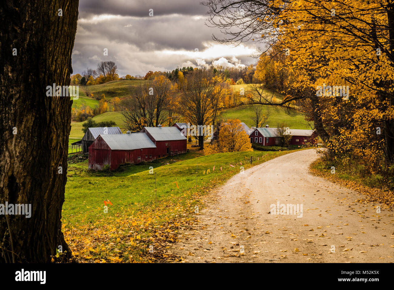 Jenne High Resolution Stock Photography and Images - Alamy