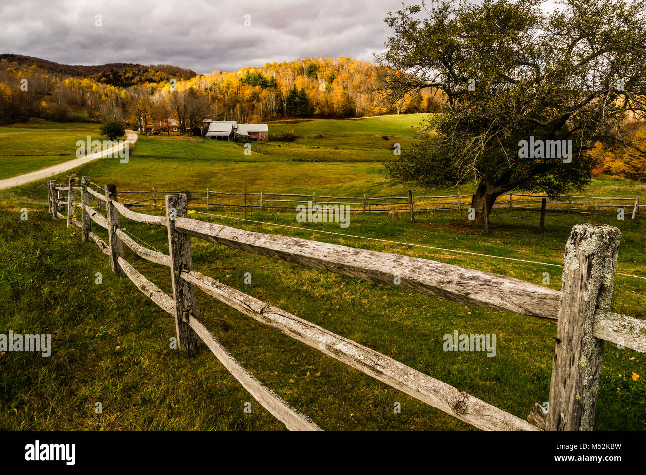 Jenne farm reading vermont usa hi-res stock photography and images - Alamy