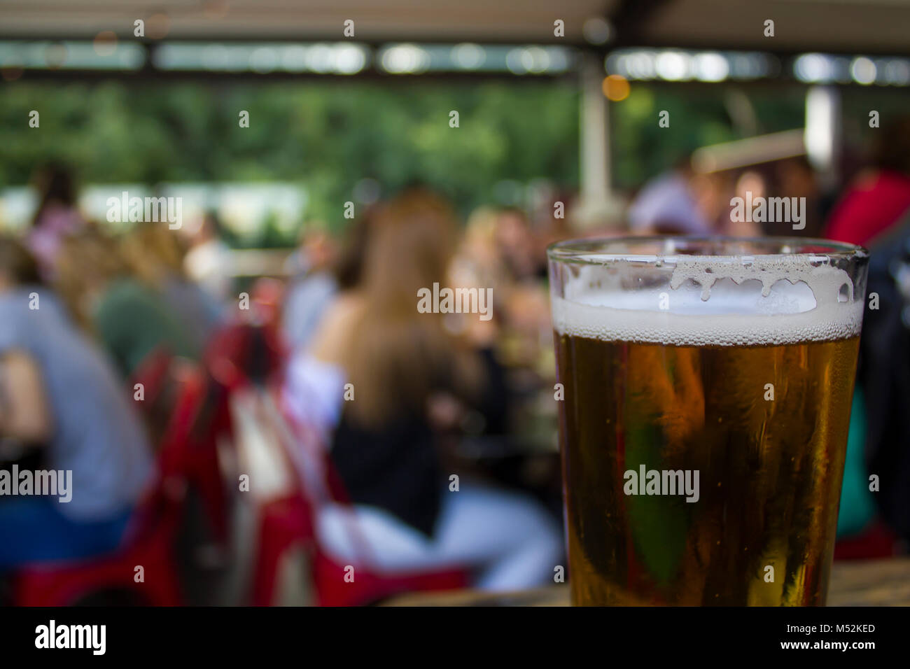 Glass of fresh beer on a rooftop bar Stock Photo - Alamy