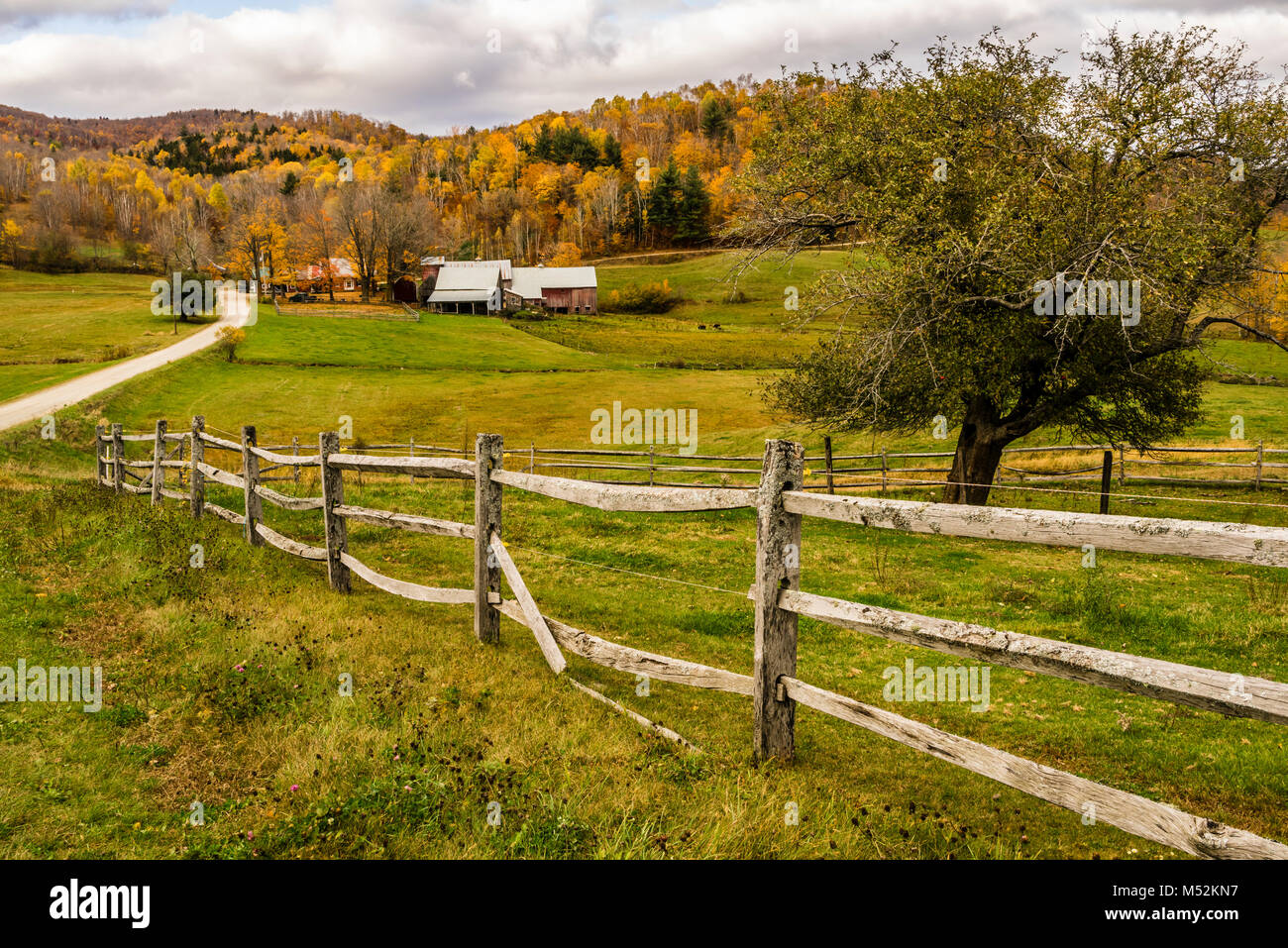 Jenne Farm Reading, Vermont, USA Stock Photo - Alamy