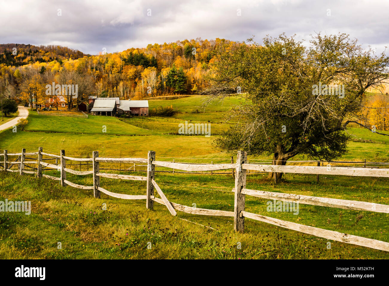 Jenne Farm Reading, Vermont, USA Stock Photo - Alamy