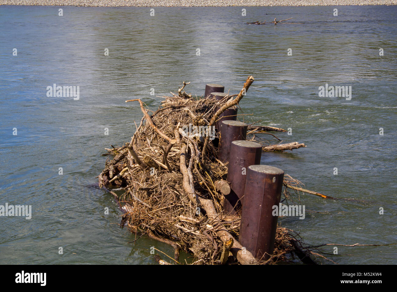 Tree branches stuck in the river Stock Photo - Alamy