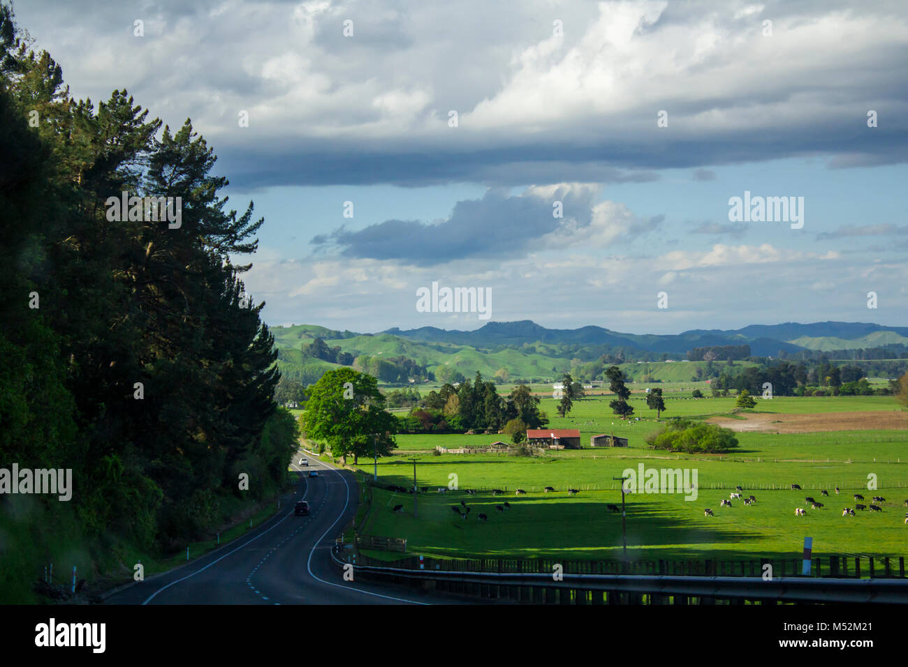 Road in New Zealand. Stunning landscape with vibrant green meadows and ...