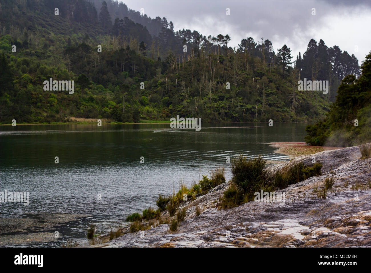Magnificent landscape of Waikato river in New Zealand Stock Photo - Alamy