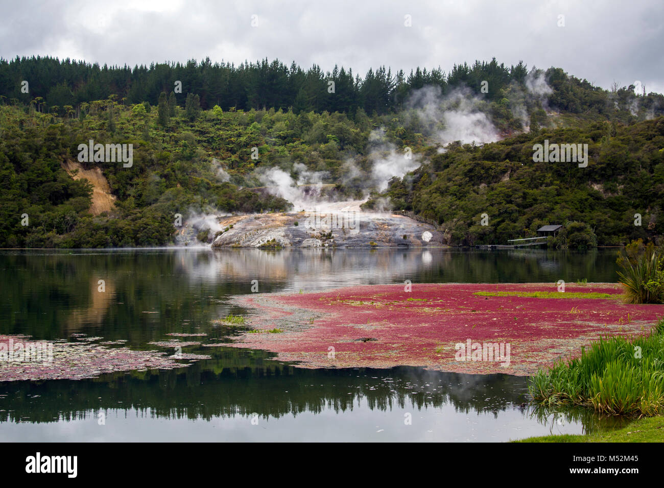 Geothermal resource area hi-res stock photography and images - Alamy