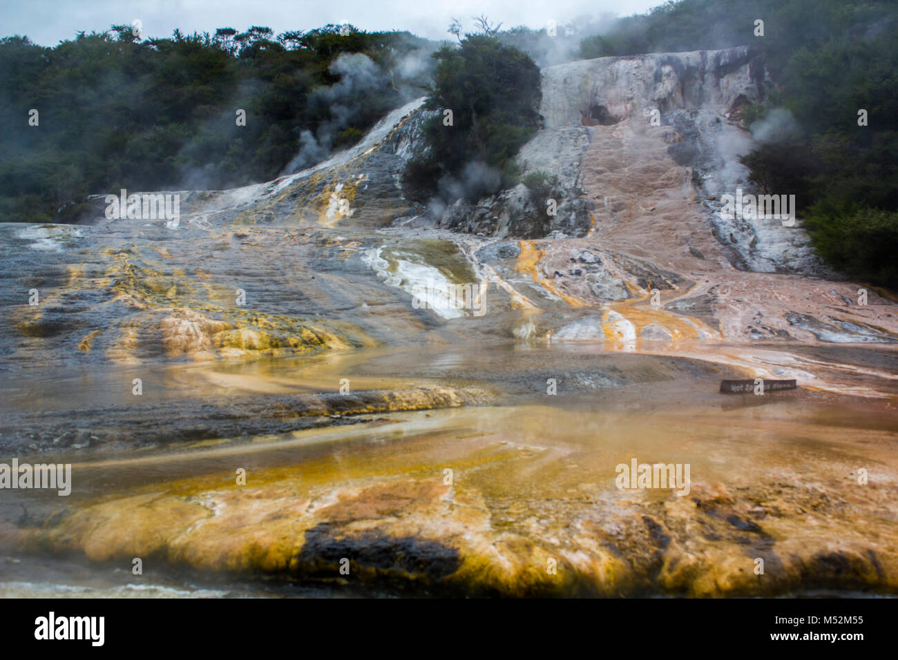Rainbow and Cascade silica terrace and hot pools with steam rising ...