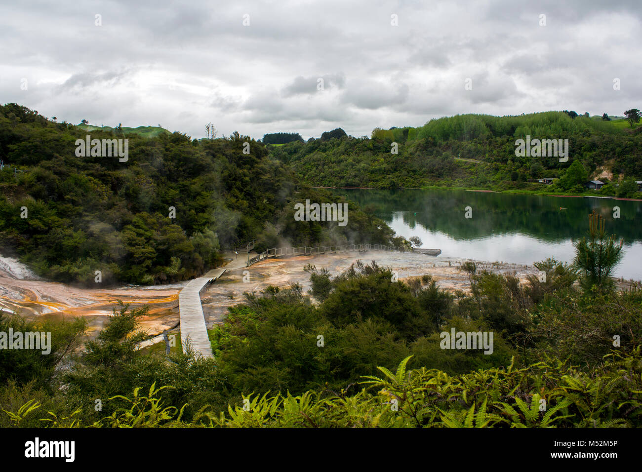 Beautiful Geothermal landscape with hot springs and Waikato river in ...