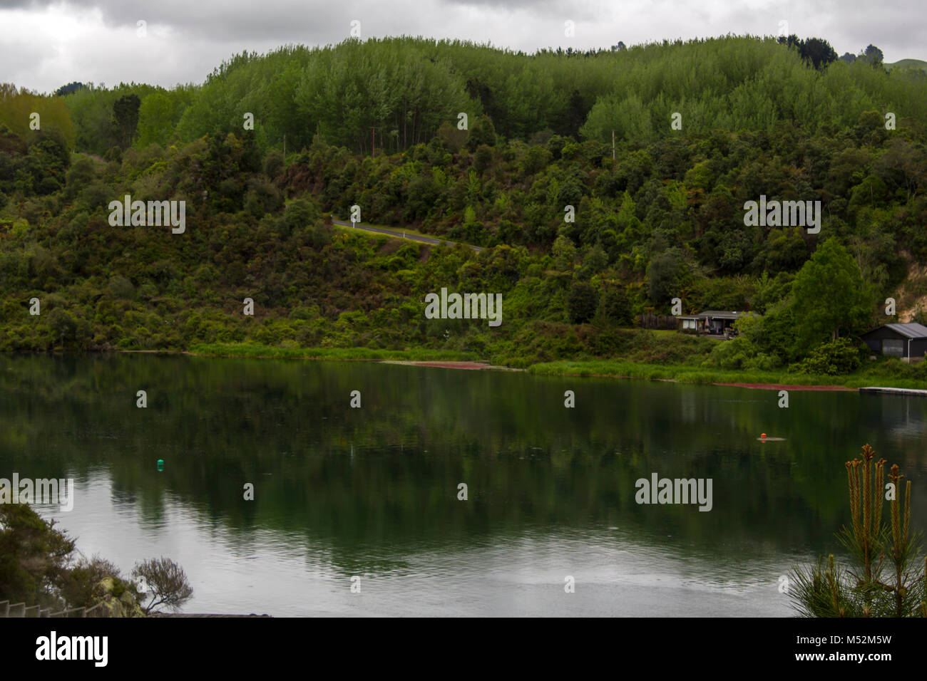 Stunning New Zealand landscape, Waikato River and forest surrounding ...