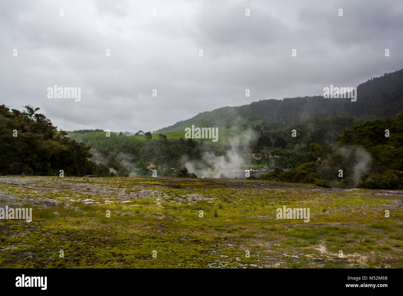 Geothermal landscape with hot springs and steam from geysers, New ...