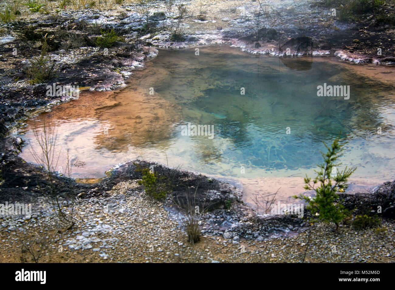 Geothermal hot spring and steam from rainbow colorful hot pool Stock ...