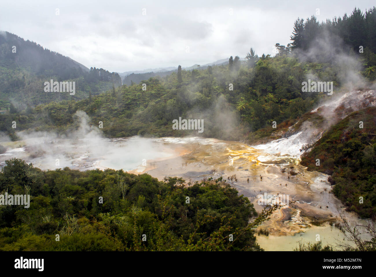 Geothermal landscape with colorful terrace, hot springs, hot pools and ...