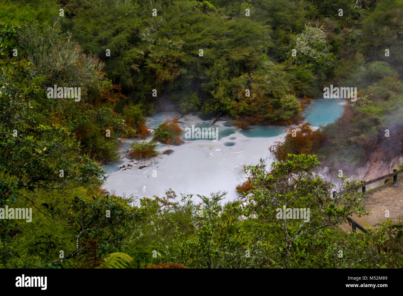 Vibrant Blue hot spring, hot pool, Orakei Korako Geothermal Park, New ...